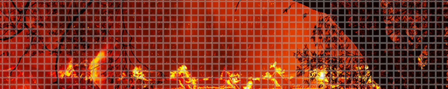 How Ember Guards Protect your Home Against Ember Attack — Gutter Guard ...