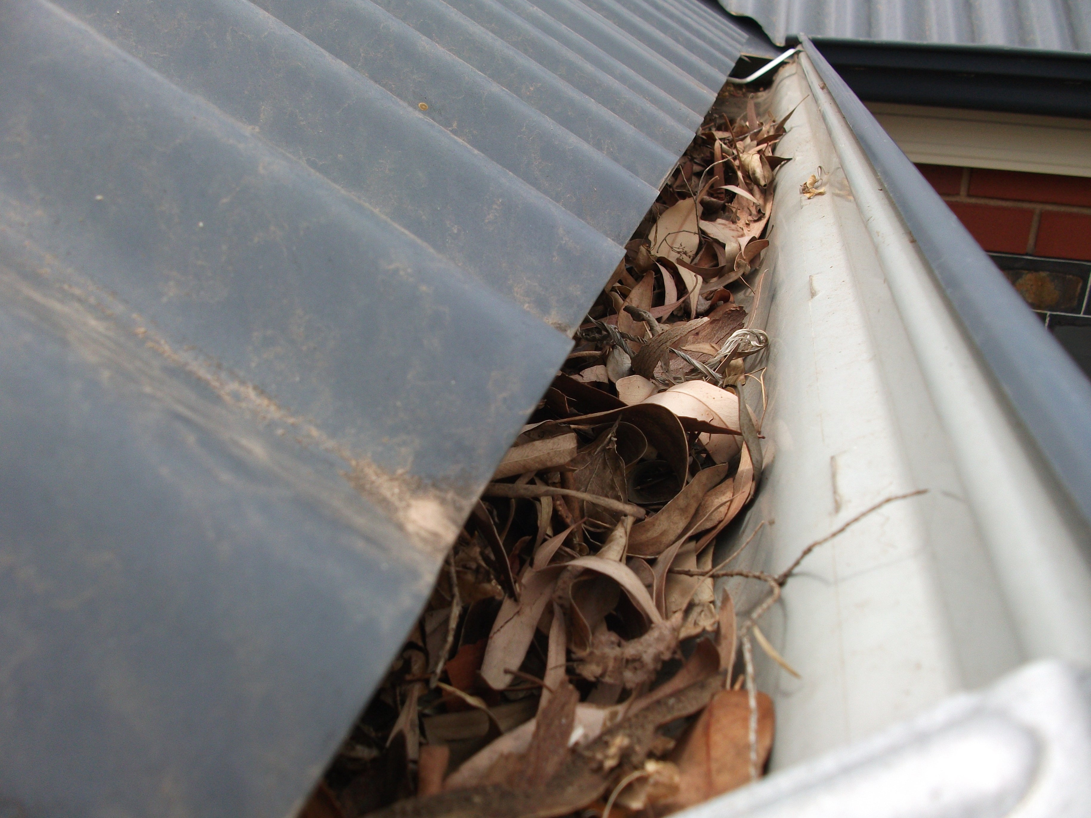 Gutter Guard Brisbane | Gutter Mesh Installation | Gutter Guard Direct